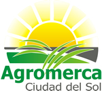 Inicio